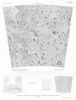 Astropedia - Mars Controlled Photomosaic of the Eridania Northwest ...